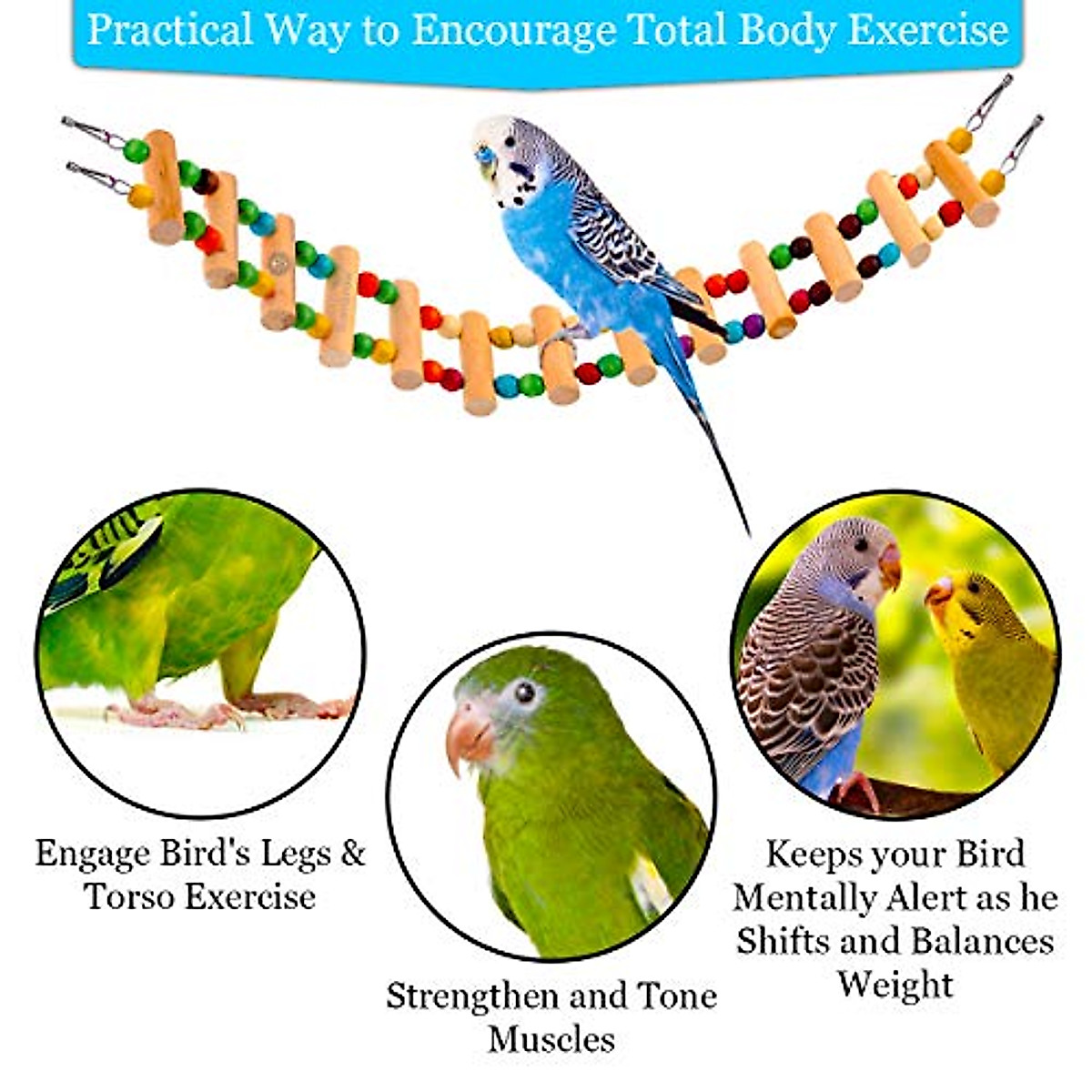 SunGrow Bird Ladder Bridge, 20 x 3 Inches, Raw Wood and Edible Dye, Suitable for Small to Medium Birds, 1 Piece