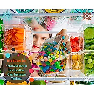 gesPINK Condiment Trays, Condiment Servers, Set of 2 Garnish Trays with Lid for Bar, Bar Fruit Caddies with Lid, Bar Condiment Trays with Lid, Condiment Servers for Parties, Chilled Serving, Utensils