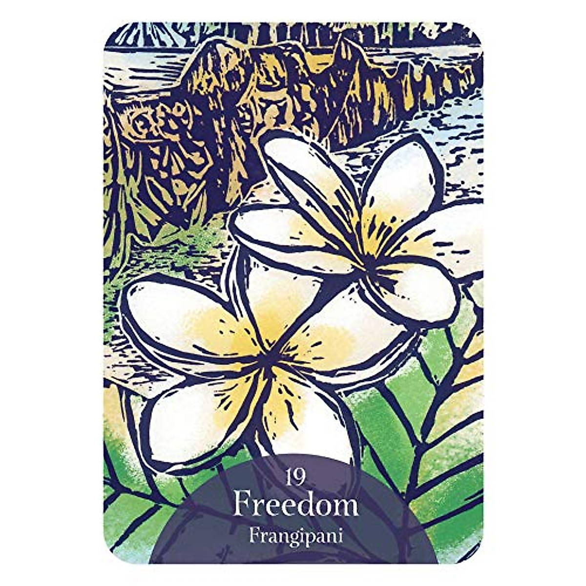 The Language of Flowers Oracle: Sacred botanical guidance and support (44 Full-Color Cards and 144-Page Guidebook) (Rockpool Oracle Card Series)