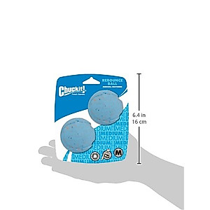 Chuckit! Medium Rebounce Ball 2.5", 2 Pack, Blues & Purples (20320)