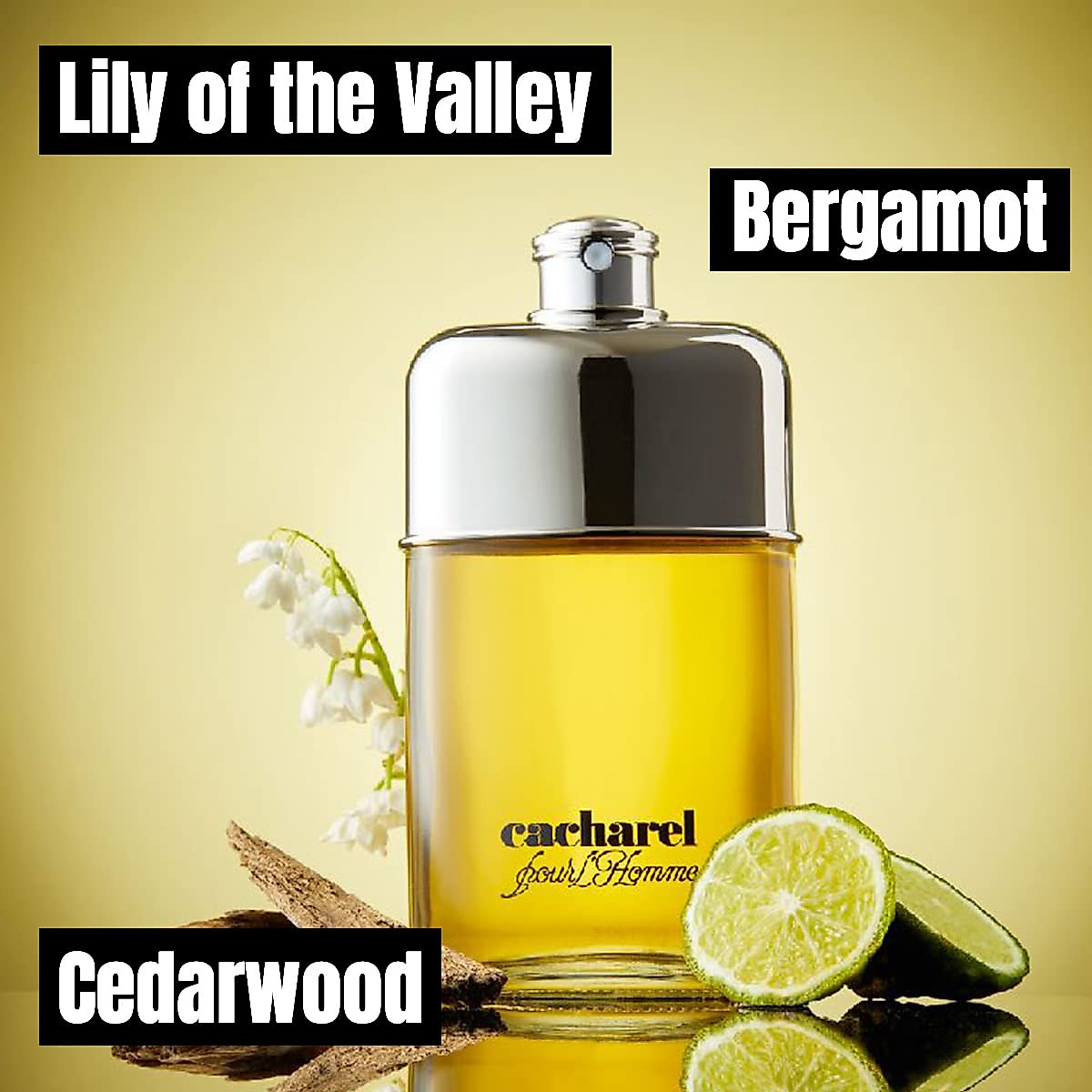 Cacharel Pour Homme, Eau de Toilette for Men, Woody, Spicy With Notes of Bergamot & Cedarwood, 3.4 Fl. Oz.