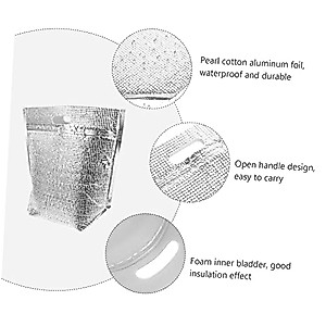 ULTECHNOVO 12 Pcs Self-sealing Thermal Bag Organizer Tote Bag Zip up Tote Bag Lunch Bag Tote Insulated Food Delivery Bag Cake Pizza Packaging Bag Baking Food Bag Take-out Food Bag Zipper Cake