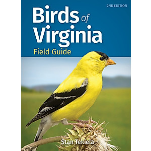 Birds of Virginia Field Guide (Bird Identification Guides)