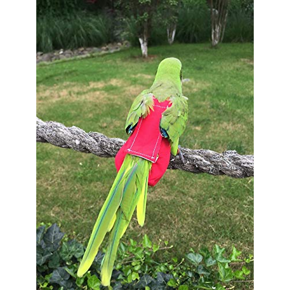 HEZHUO Parrot Diaper Bird Flight Suit, Bird Clothes, Waterproof Lining Pet Bird Supplies (L, Red)