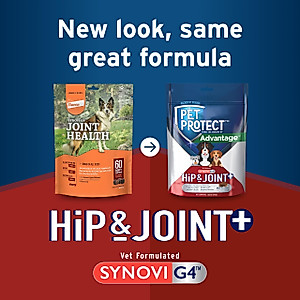 Pet Protect from The Makers of Advantage Vet-Formulated Hip & Joint+ Supplement for Dogs | 60 Chews