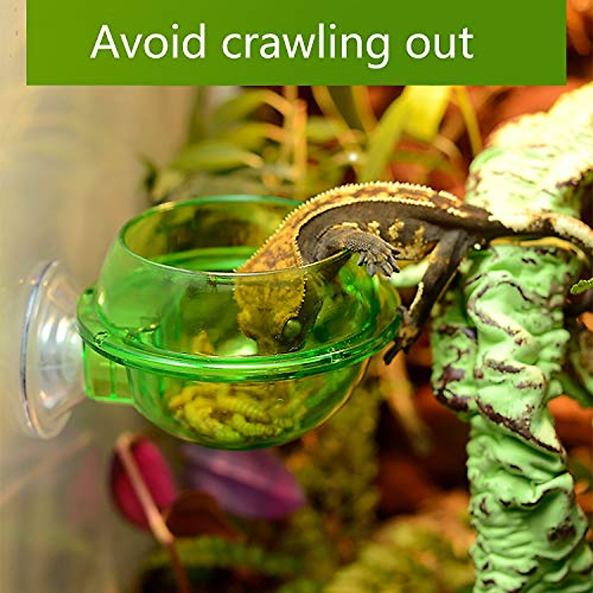 Suction Cup Reptile Feeder, Anti-Escape Reptile Food Bowl, Chameleon Bowl, Worm Live Fodder Container ,Translucent Home Pet Feeder Supplies Accessories for Tortoise Gecko Snakes Chameleon Iguana