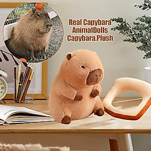 MILEGI Capybara Plush Toy Pillow with Wearable Bread, 12" Cute Capybara Stuffed Animal, Soft Capybara Plushie Toy Doll Pillow for Girls Boys Kids, Stuffed Capybara Toy Birthday Decorations Gifts