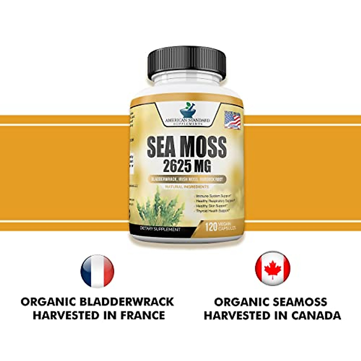 Organic Sea Moss 2625mg, Seamoss, Hand Harvested, Irish Moss Bladderwrack and Burdock Root, Sea Moss Capsules, Irish Sea Moss Alternative to Sea Moss Powder, Sea Moss Gel, 120 Vegan Capsules