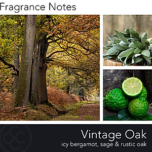 Manly Indulgence Vintage Oak Scented Jar Candle for Men, Wood Wicked Candle, 15 oz - Bergamot, Lemon, Sage & Rustic Oak - Up to 60 Hours Burn, Soy Blend Wax, USA Poured