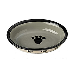 PetRageous 44247 Oval Metro Paws Stoneware Cat Bowl 6.25-Inch Wide and 1.5-Inch Tall Saucer with 1-Cup Capacity and Dishwasher and Microwave Safe for Small Dogs and Cats, Multicolored