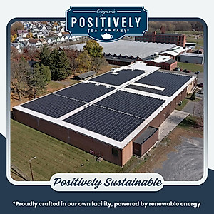 Organic Positively Tea Company, Decaf English Breakfast Black Tea Bags, 20 Count