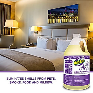 OdoBan Professional Series Ready-to-Use Air Liquid Air Freshener, Set of 3, 1 Gallon Each, Cherry, Spring Fresh and Lavender Variety
