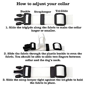 Buttonsmith Custom Dog Collar - Fadeproof Printing, Military Grade Buckle, Choice of 6 Sizes, Made in The USA