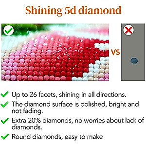 Diamond Painting Full Drill Round Rhinestone, Diamond Art for Adults and Kids Beginners, DIY 5D Diamond Painting Kits for Home Wall Decor (12X16 in)