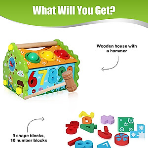 Xbears, Montessori Toys for 2 3 Year Old - Sorting Toy for Toddler, Kids - Pound a Ball - Gifts for Kids 2-4 - Fine Motor Skill Early Learning Toys - Educational Teaching Clock.