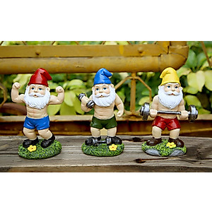 Mrsivrop Funny Workout Garden Gnomes Statues 3pcs 6.2 Inches Outdoor Funny The Muscular, Barbell and Dumbbell Gnomes Decorations Set for Yard, Lawn, Patio, Indoor Gnome Figurine for Home Tabletop