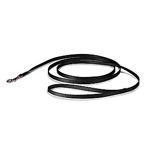PetSafe Nylon Dog Leash - Strong, Durable, Traditional Style Leash with Easy to Use Bolt Snap - 3/8 in. x 6 ft., Black