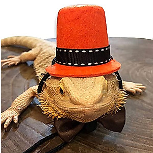 Bearded Dragon Leash Harness with Magician Hat and Bowtie Halloween Costume Set,3 Pack Bat Wing with Leash for Lizard Reptile Halloween,Holiday,Party,Photos Small Animal Clothes Outfit (Orange Set)