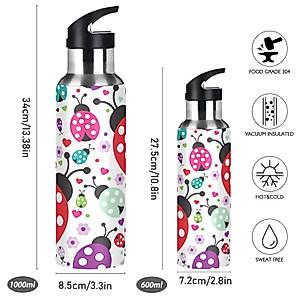 KEEPREAL Ladybug Water Bottle with Straw, 22 OZ Sports Water Bottle BPA Free Stainless Steel Water Jugs for Gym, Travel, Working, Outdoor