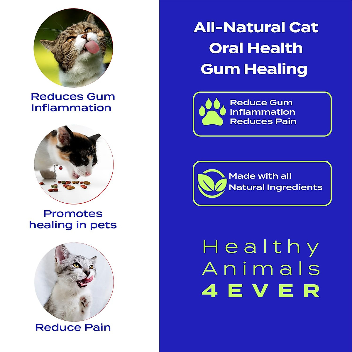 Healthy Animals 4 Ever Oral Health Gum Healing for Cats - Relieves Inflammation, Soothes Pain, Fights Gum Disease - Natural, Non-GMO, Organic - Gluten, Preservative & Chemical Free Supplement - 300 ct