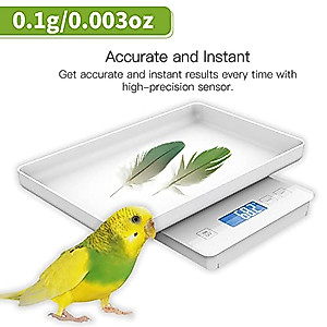 MINDPET-MED 11lbs/0.1g Pet Scale for Small Animal, Whelping Scale, Guinea Pig Weighing Scale, High Precision 0.003oz, Suitable for All Newborn Pets, Kittens, Turtles,