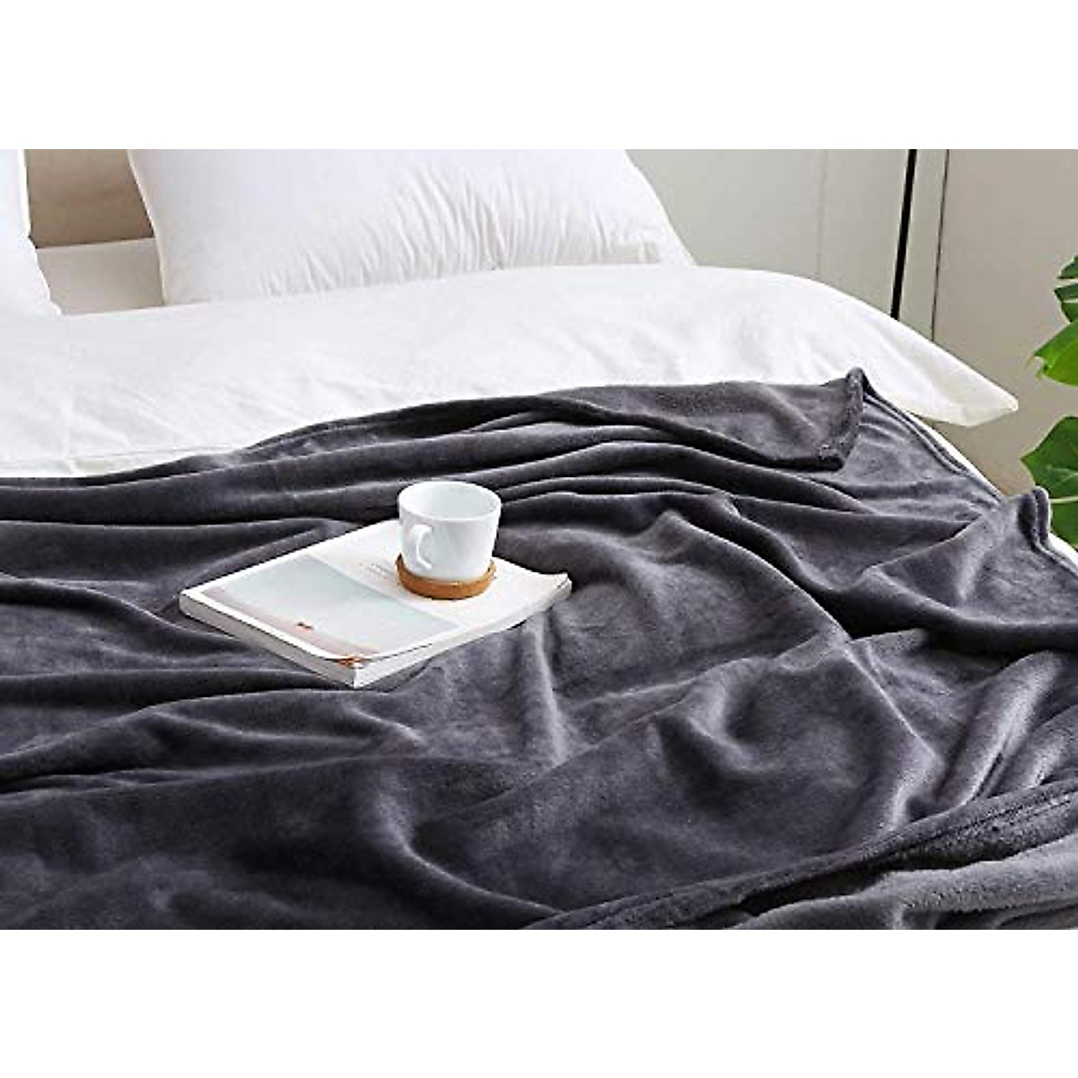 BEAUTEX Fleece Throw Blanket for Couch Sofa or Bed Throw Size, Soft Fuzzy Plush Blanket, Luxury Flannel Lap Blanket, Super Cozy and Comfy for All Seasons (Graphite, 50" x 60")