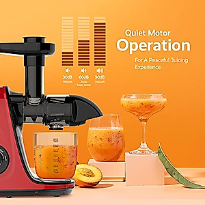 Jocuu Slow Masticating Juicer with 2-Speed Modes - Cold Press Juicer Machine - Quiet Motor & Reverse Function - Easy to Clean Juicer Extractor - Juice Recipes for Fruits & Vegetables (Grey)