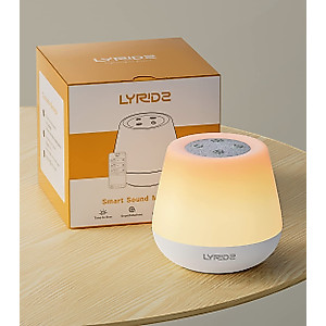 Lyridz Nursery Night Light for Babies, LED Rechargeable Bedside Touch Sensor Lamp for Kids Breastfeeding, 2 Colors Dimmable Egg Night Light, Timer, 2500mAh Lithium Battery