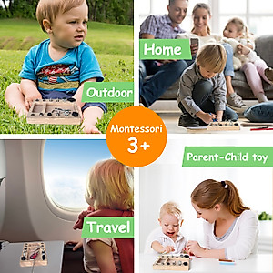 Montessori Screwdriver Board Set, Real 17 Pcs & 12 Holes Fine Motor Skills 3 4 5 +Kids Patience Basic Life Skill Educational Wooden STEM Toys for Toddler Preschool Materials Busy Sensory Tools