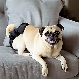 Pet Parents Premium Washable Dog Diapers & Extendrs, (3pack) of Female Dog Diapers & Male Dog Diapers, Color: Black, Size: Medium Dog Diapers