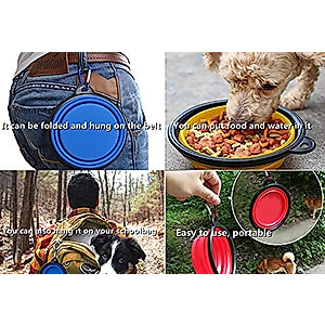 Aebor Gravity Water Bowl Cat Dog，Anti Wet cat Dog Mouth pad/Anti-Slip Base, Pet Automatic Water Dispenser with Detachable Bowl and 500ml Water Bottle, Pet Feeder for Small Medium Size Dog Cat (Green)