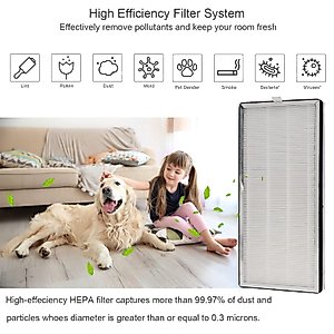 Drolma 2 Pack MA-40 H13 True HEPA Replacement Filter Compatible with Medify Air MA-40 Air Purifier MA-40A and MA-40B, 3-in-1 Filters includes Activated Carbon Filter, Part# ME-40