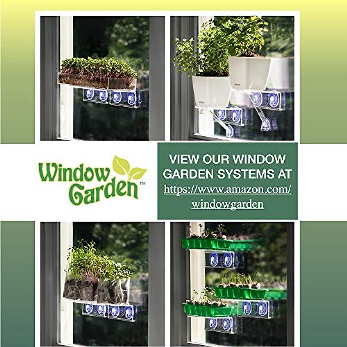 Window Garden Double Veg Ledge Shelf Organic Wheatgrass Kit Bundle (5) -Enough Pre-Measure Seeds, Fiber Soil to Grow 5 Trays on Your Indoor Window. Superfood Healthy Benefits for You and Your Cat.