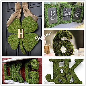BYHER Dried Moss Mat for Wedding Birthday Party Fairy Garden Decorations, Dark Green (Green - 14" X 9")