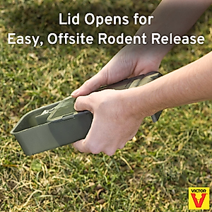 Victor 6 M333 Multiple Catch Humane Outdoor and Indoor Mouse Trap, Black