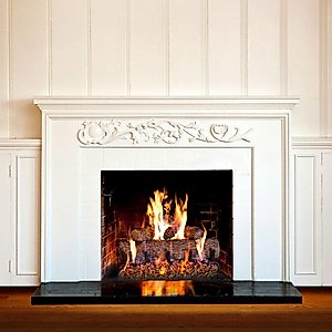 Peterson Fyreside 24-inch Live Oak Log Set with Vented Burner, Auto-Safety Pilot Control Valve and Gas Connection Kit (Propane Gas Only)
