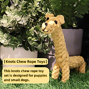 SOCOWVAKA 6PCS Dog Chew Toys Cotton Rope Dog Teeth Clean and Training Durable Dog Plush Toys Boredom and Interactive Biting Rope for Puppy Small Medium Dogs (Animal)