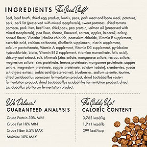 Fromm Four-Star Nutritionals Beef Frittata Veg Dog Food - Premium Dry Dog Food - Beef Recipe - 4 lb