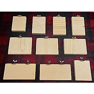10 Piece Kiln Dried Pine Wood Ledges, Platfrom, Steps for Chinchillas, Rats, Birds and Caged Critters. Chinchilla Cage Accessories.