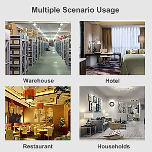 Mouse Traps,Rat Traps for House Walk The Plank Auto Reset Rat Traps Outdoors Mouse Trap Bucket,Rat Trap Bucket Spinner Ramp Included Multi Catch Auto Reset No See Kill Sanitary Safe Mousetrap (Size :