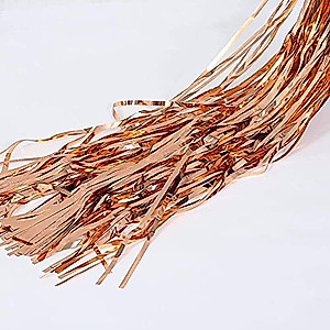 Big 3 Pieces Rose Gold Fringe Curtain - 9.6x8 Feet, Rose Gold Streamers | Rose Gold Backdrop for Birthday Party | Rose Gold Tinsel Backdrop, Rose Gold Party Decorations, Bachelorette Party Decorations