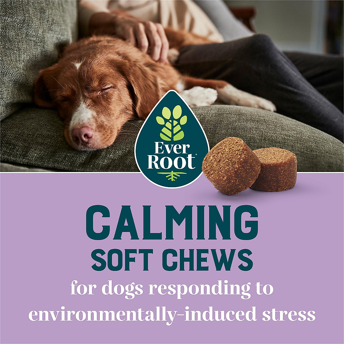 EverRoot By Purina Calming Dog Supplements Soft Chews - 10.6 oz. Canister