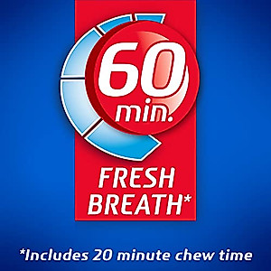 Dentyne Ice Peppermint Sugar Free Gum, 4 Bottles of 60 Pieces (240 Total Pieces)