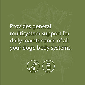 Standard Process Canine Whole Body Support - Multisystem Support Supplement for Canines - Nutritional Powder Supplement for Daily Health Maintenance - Multisystem Supplement Formula - 100 g