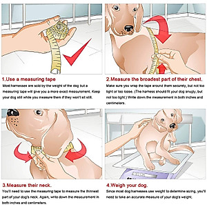 BARKLESS Cute Small Dog Harness, Ladies Polka Dots Dog Vest Harness Set with Pink Leash and Bowknot Collar, 3 in 1 Girl Style Vest Harness Set for Puppy and Cat (XL, Pink)