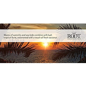 Root Candles Scented Candles Honeycomb Veriglass Premium Handcrafted Beeswax Blend Candle, Large, Coastal Sunrise