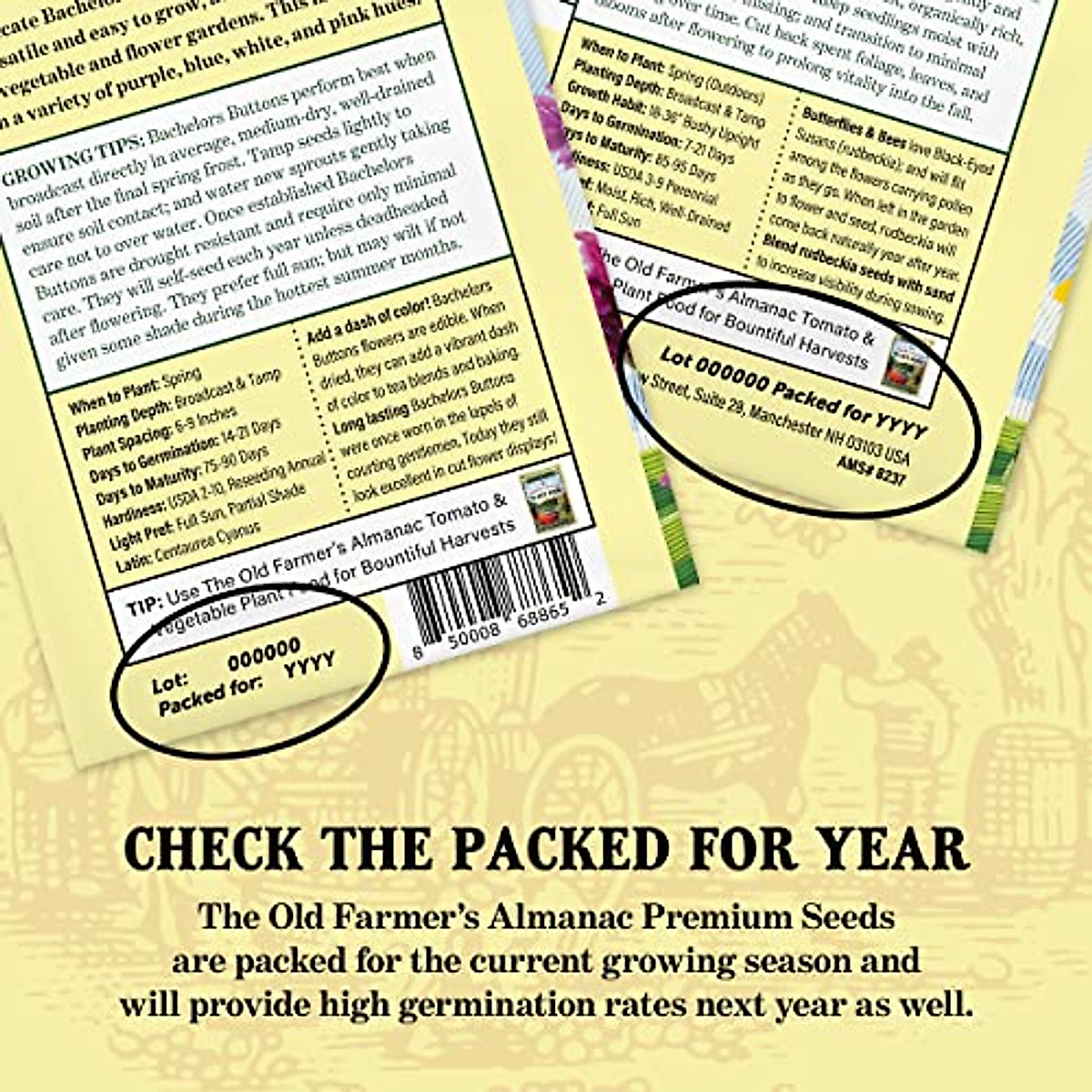 The Old Farmer's Almanac Heirloom Winter Squash Seeds (Waltham Butternut) - Approx 40 Seeds - Non-GMO, Open Pollinated, USA Origin