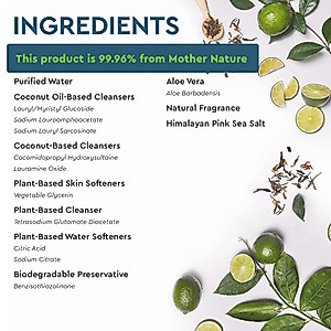 Puracy Natural Dish Soap Refill - Skin-Softening Plant-Based Liquid Dishwashing Detergent Soap, Clean-Rinsing Water-Sheeting Formula (Green Tea & Lime, 48 fl oz)