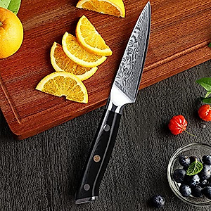 Professinal Damascus steel VG10 Core Kithen Chef Knife Set (Gentleness Raindrop Patter 5 PC)