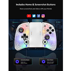 NexiGo Wireless Joypad Controller for Nintendo Switch/Switch OLED, Joypad Controller with Vibration, Turbo, Mapping and LED Light (Island Village)